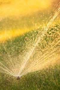 Hydro-Tech Irrigation | Sterling VA, MD & DC